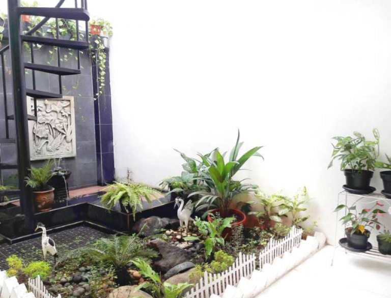 √ Taman Mini Depan Rumah Paling Indah dan Nyaman