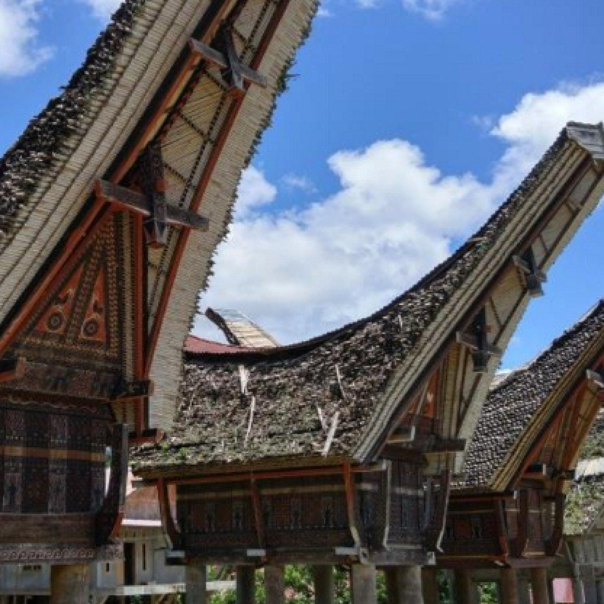 Tahukah Anda Rumah Adat Tongkonan Berasal Dari Provinsi Apa?